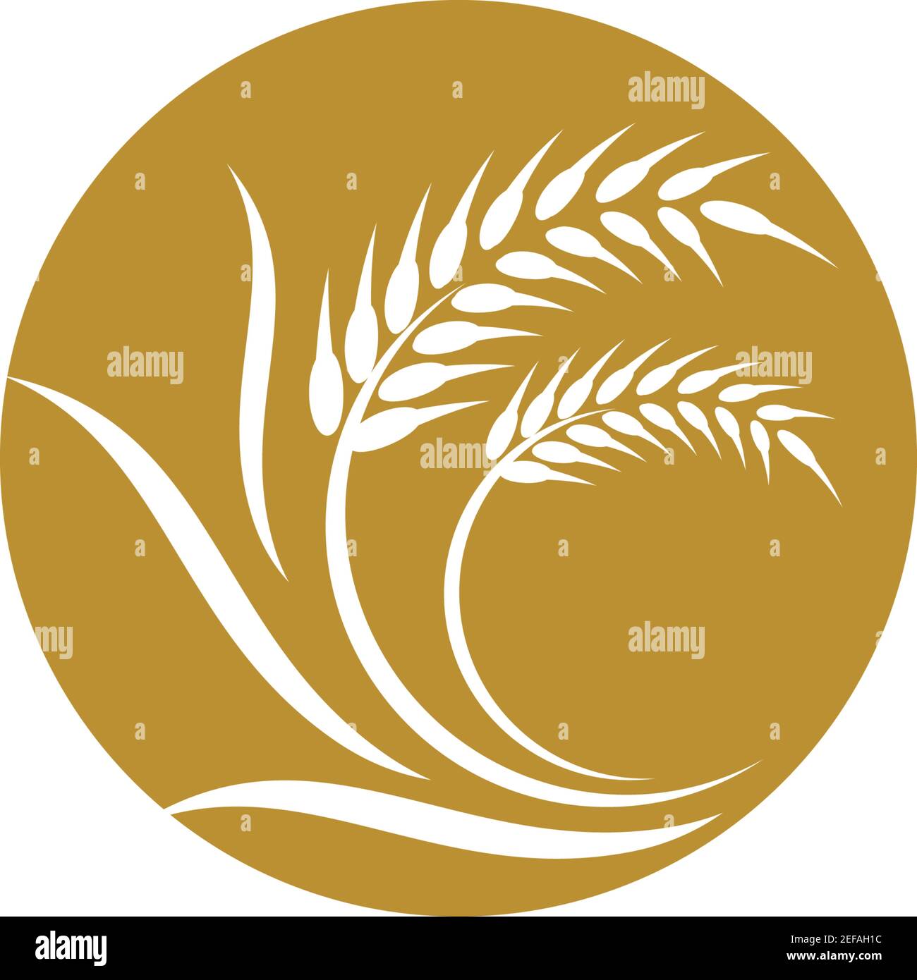 Agriculture wheat logo template vector icon design Stock Vector Image ...