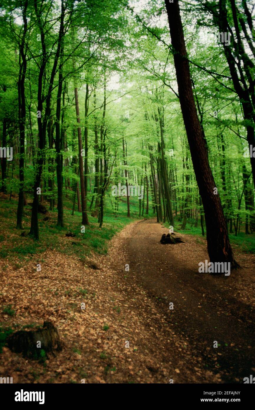 Vienna scenic vertical hi-res stock photography and images - Alamy