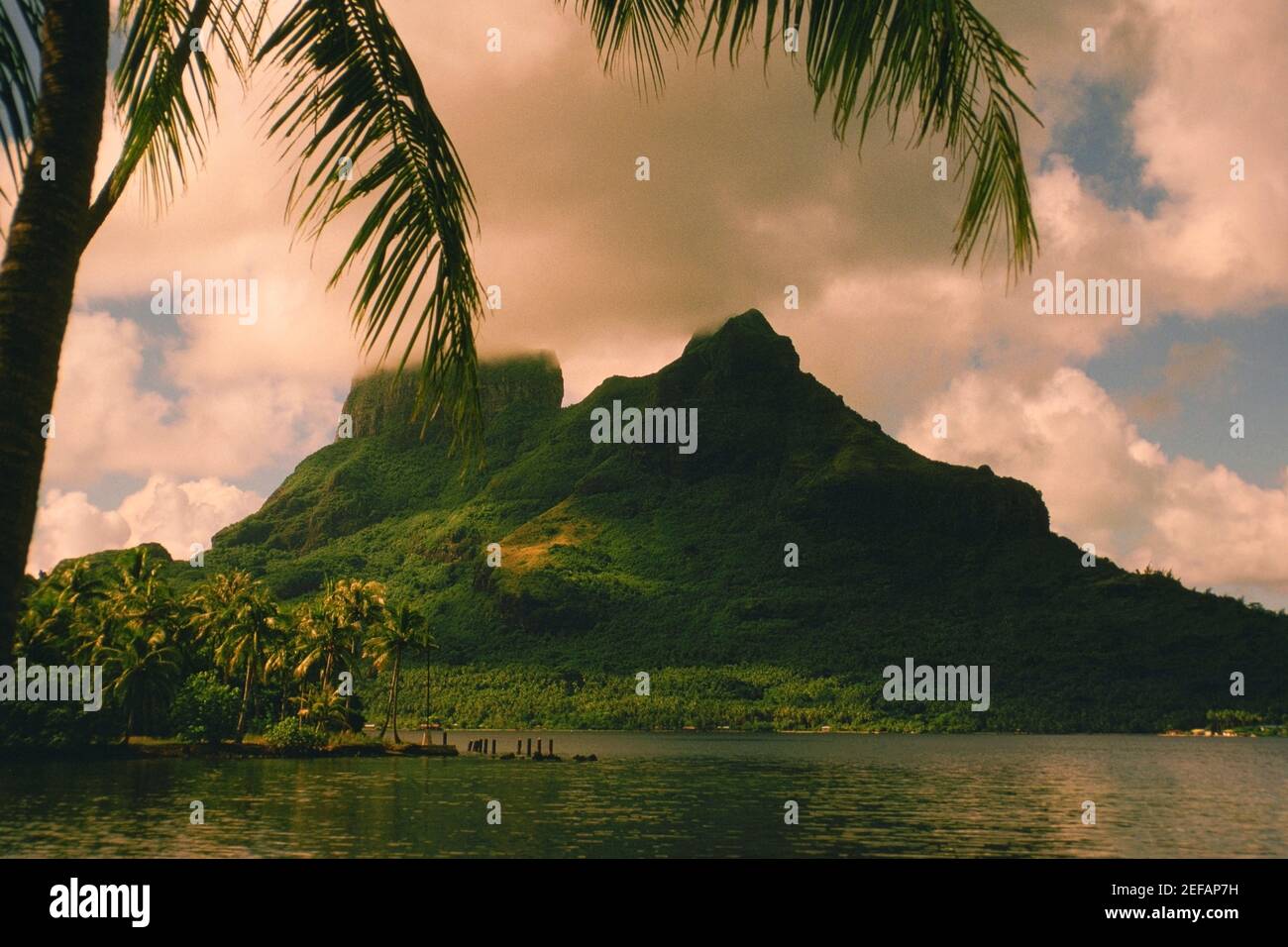 Cliff at the waterfront, Bora Bora, Society Islands, French Polynesia ...