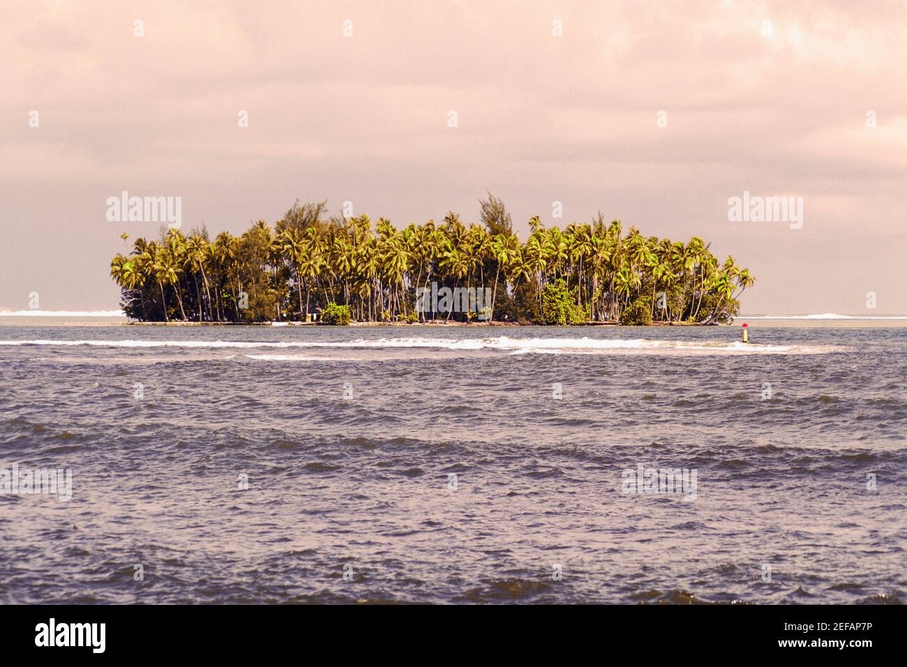 Trees on an island, Tahiti, Society Islands, French Polynesia Stock ...