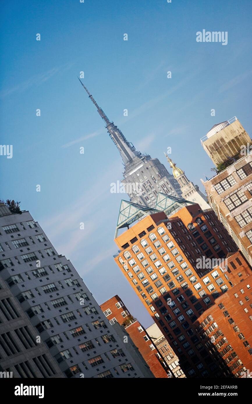 Low angle view of buildings, Empire State Building, Manhattan, New York ...