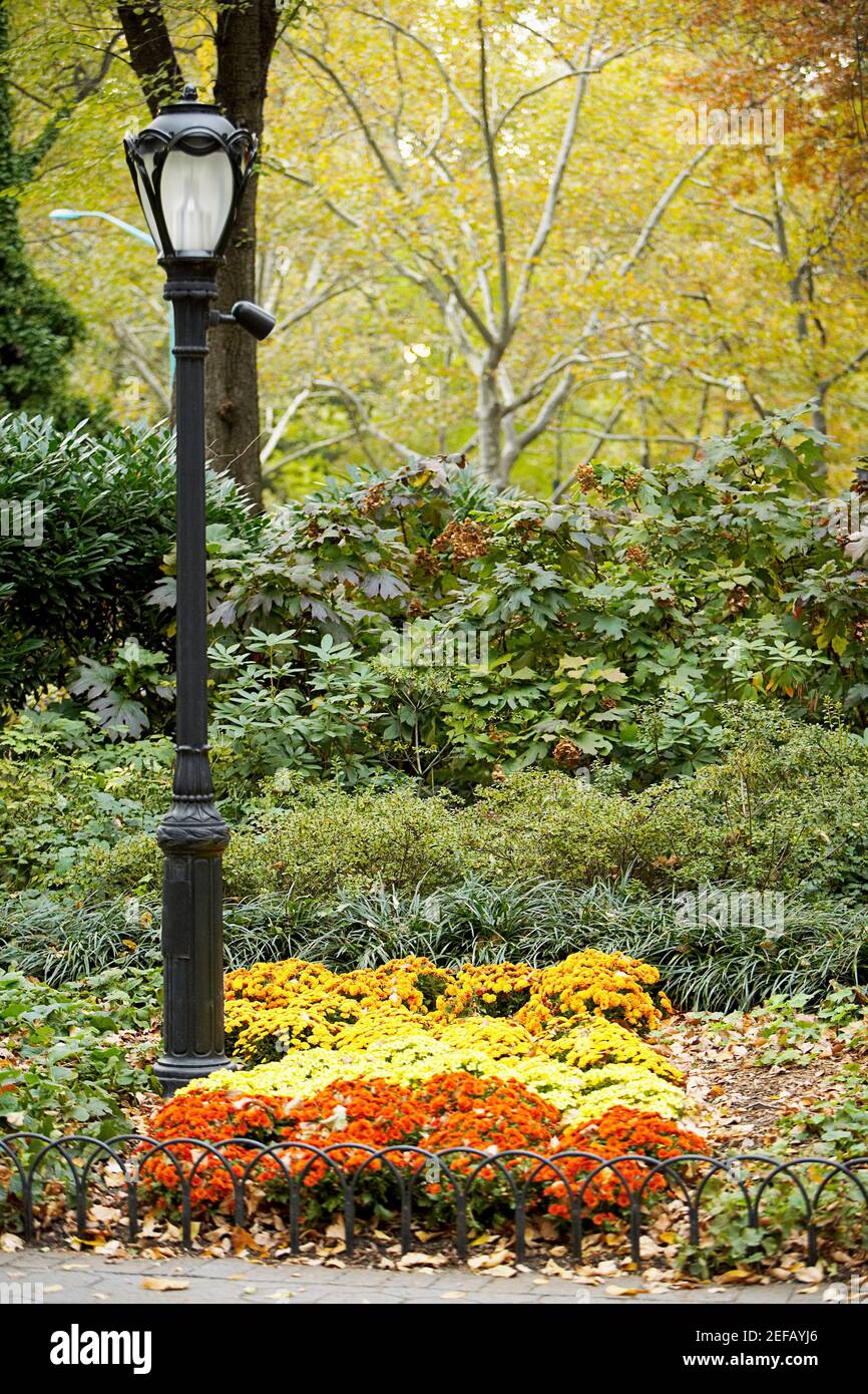 Lamppost in a park, Central Park, Manhattan, New York City, New York ...