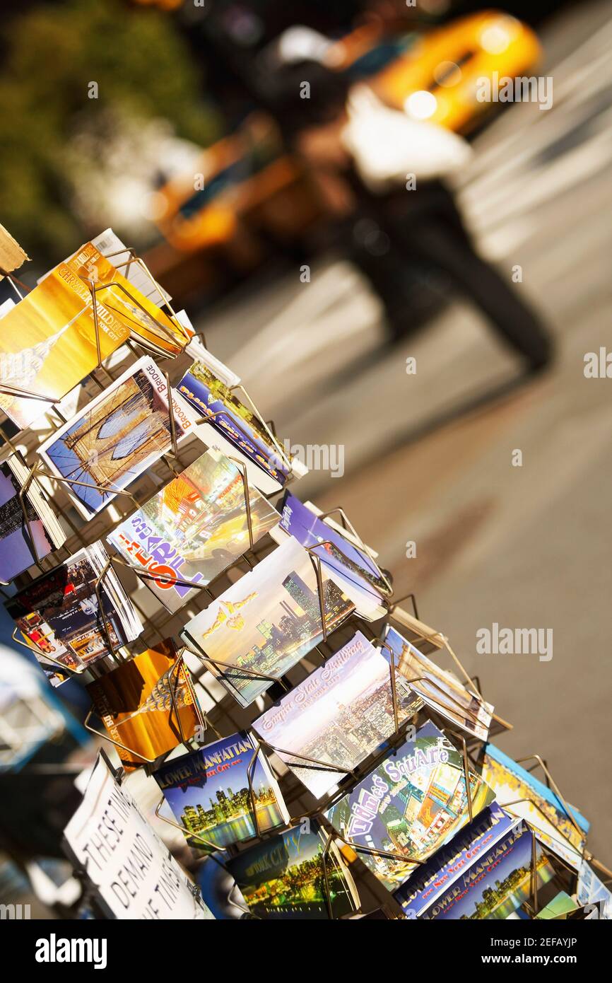 Books in a bookshelf, Fifth Avenue, Manhattan, New York City, New York ...