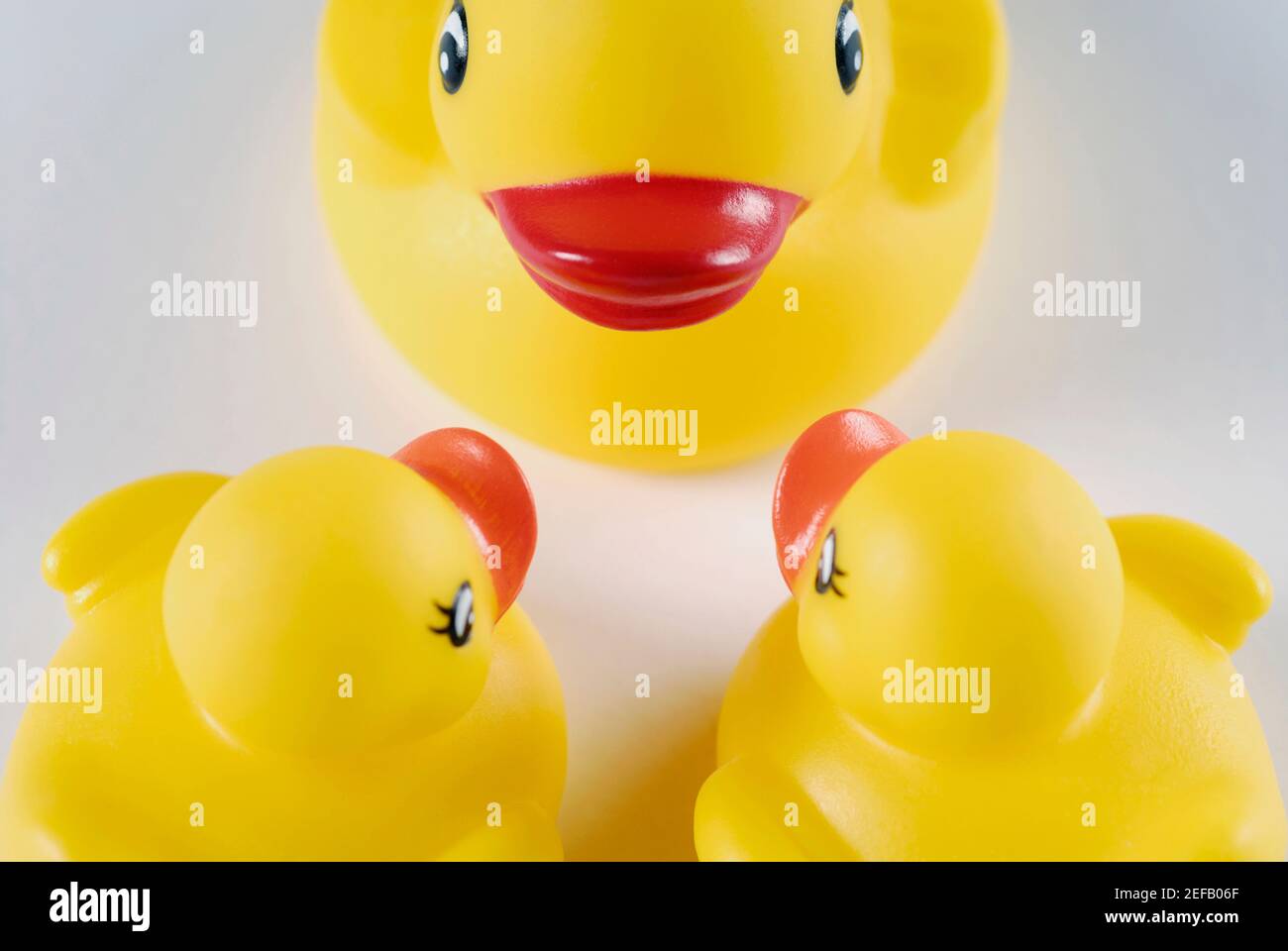 Rubber duck from above hi-res stock photography and images - Alamy