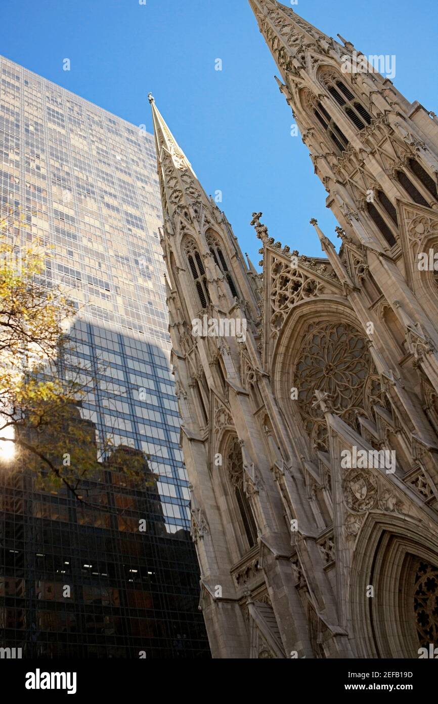Saint patrick s cathedral hi-res stock photography and images - Alamy