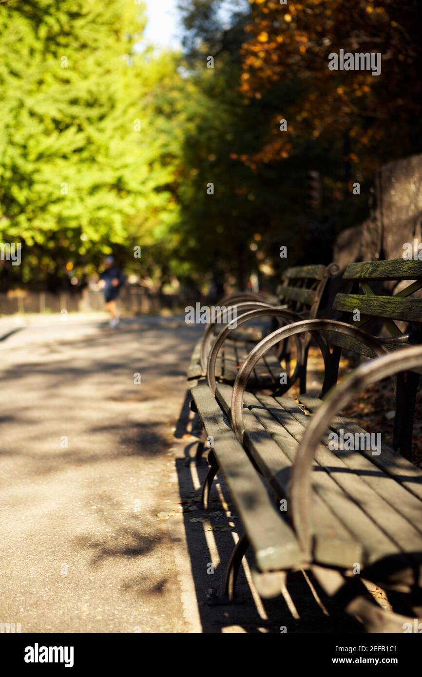 Bench in a park, Central Park, Manhattan, New York City, New York State ...