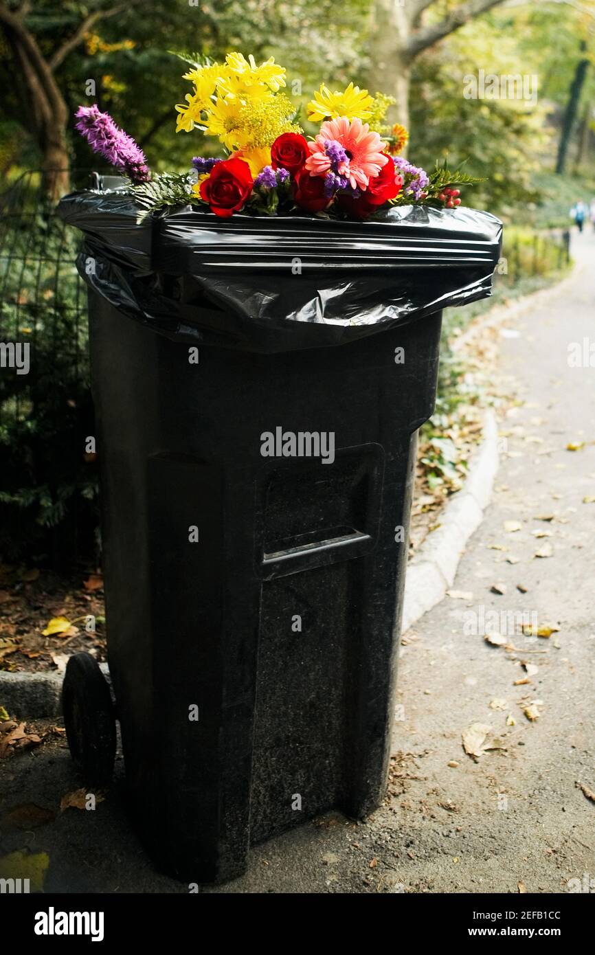 Garbage Flower High Resolution Stock Photography and Images - Alamy