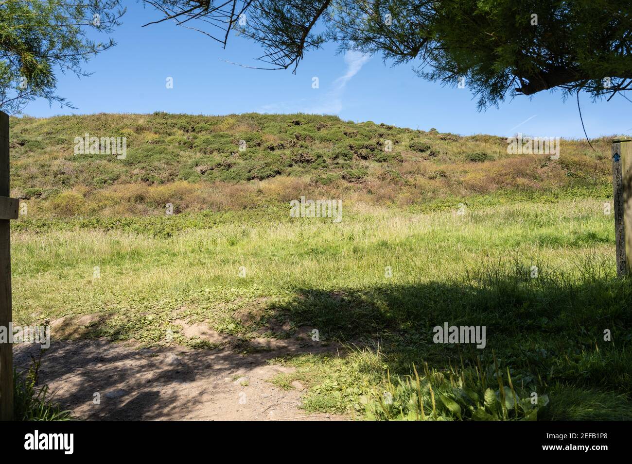 Pistil Meadow, Cornwall Stock Photo - Alamy