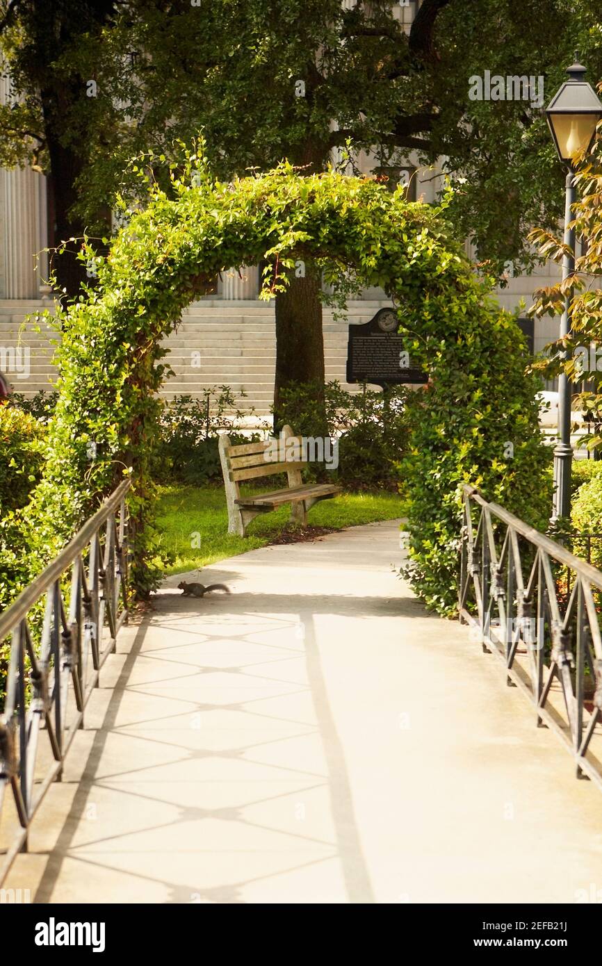 Trellis in a park, Savannah, Georgia, USA Stock Photo - Alamy