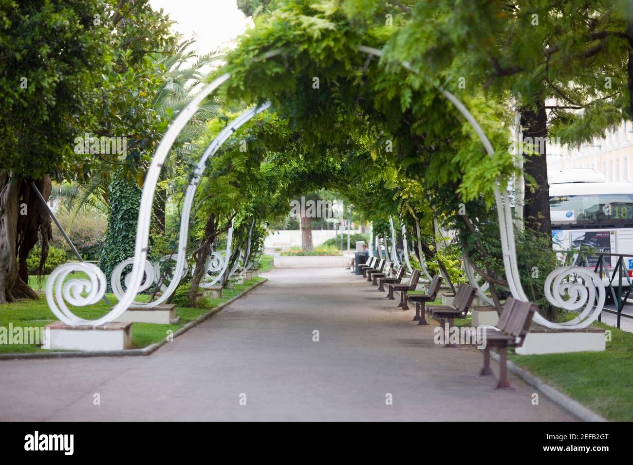 Trees in a park, Monte Carlo, Monaco Stock Photo - Alamy