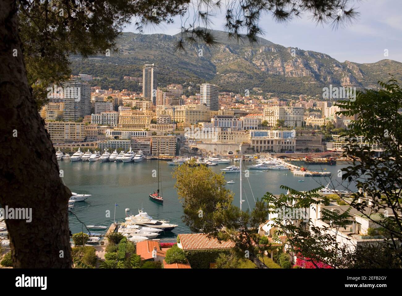 Cruise ship and boats docked at a harbor, Port of Fontvieille, Monte ...