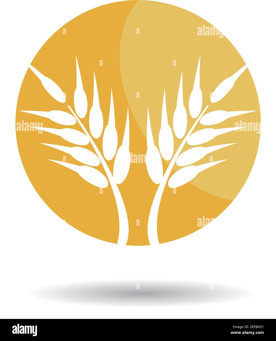 Agriculture wheat logo template vector icon design Stock Vector Image ...