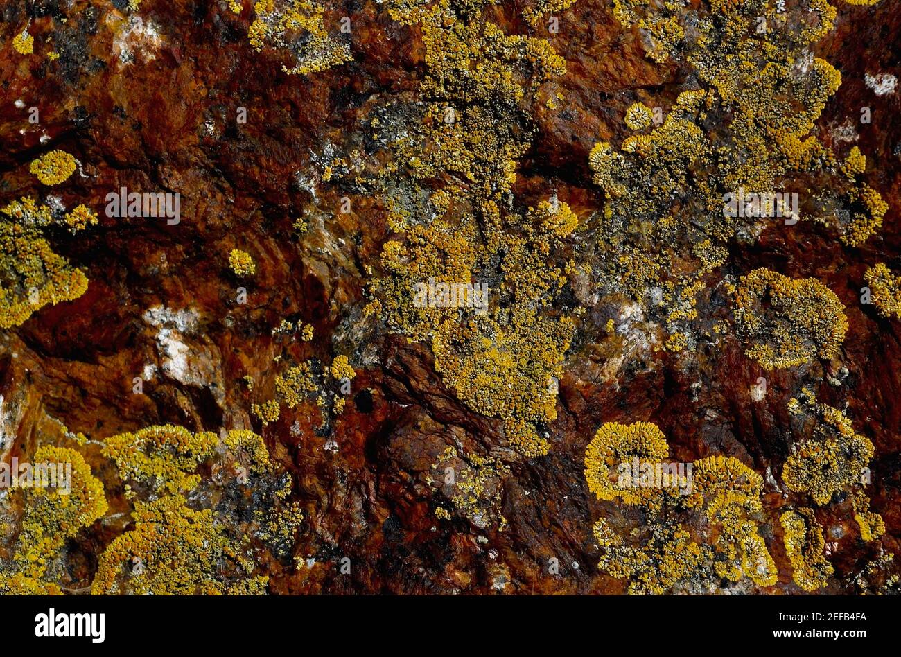 Floating dirt hi-res stock photography and images - Alamy