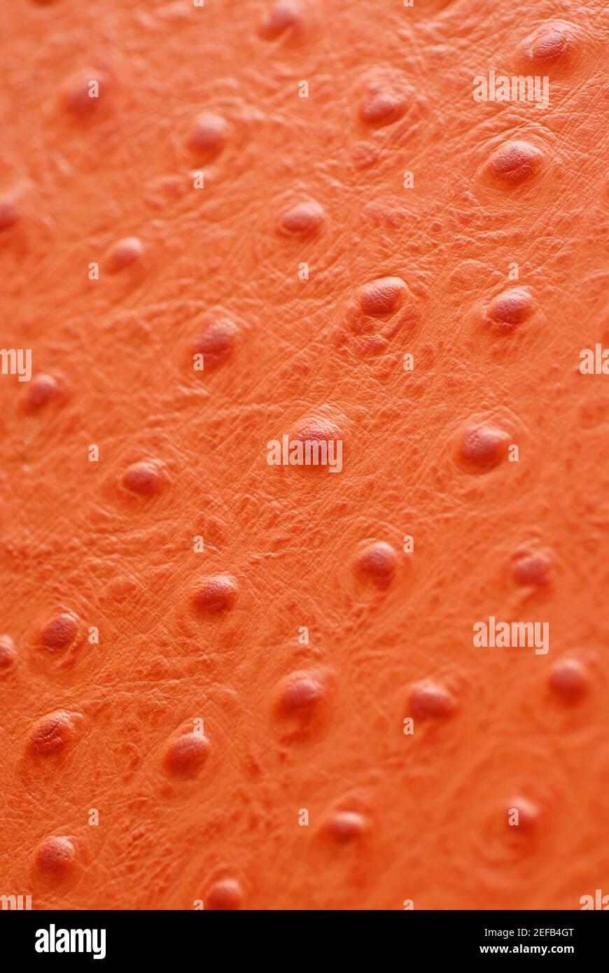 Close up of bumps on the surface of leather Stock Photo - Alamy