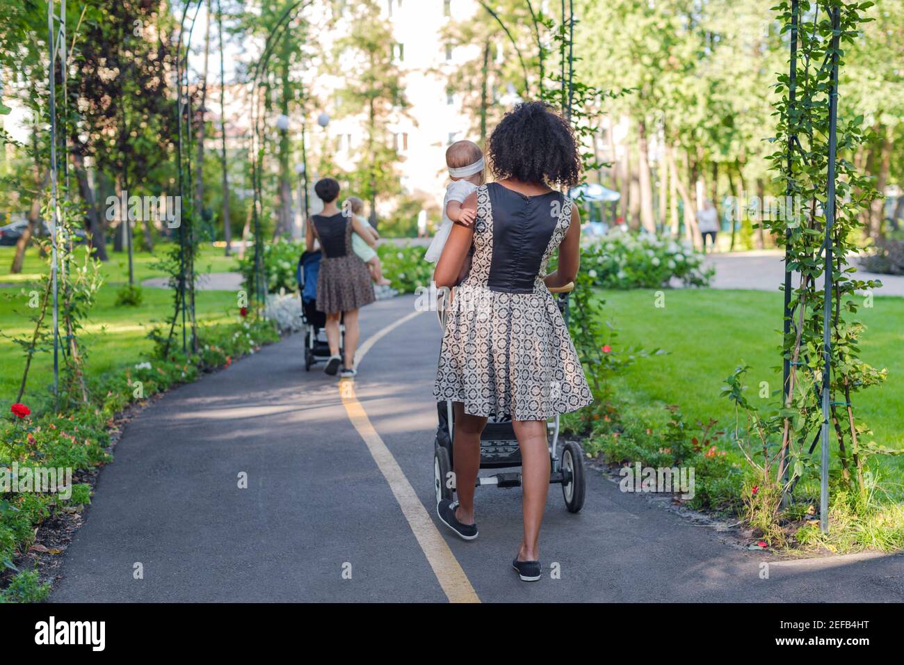 Two young mothers pushing strollers in park. Women in the park walking ...