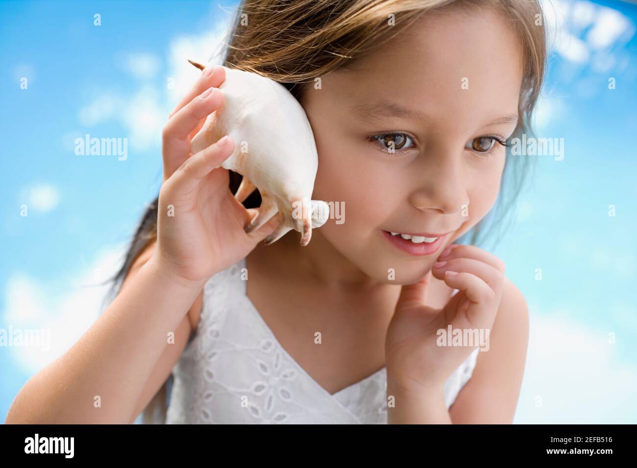 Seashell bokeh hi-res stock photography and images - Alamy