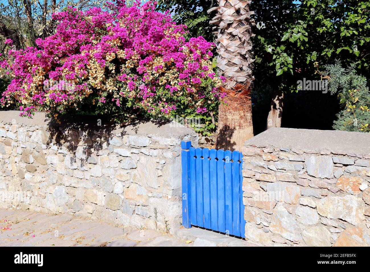 Serenity view hi-res stock photography and images - Alamy