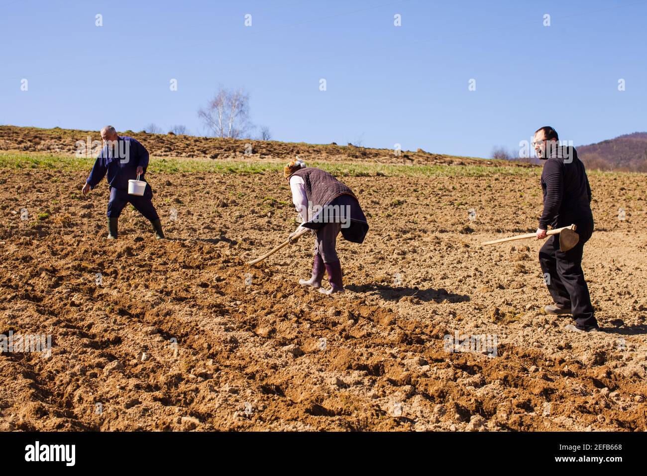 Successful farming is a hard family business Stock Photo - Alamy
