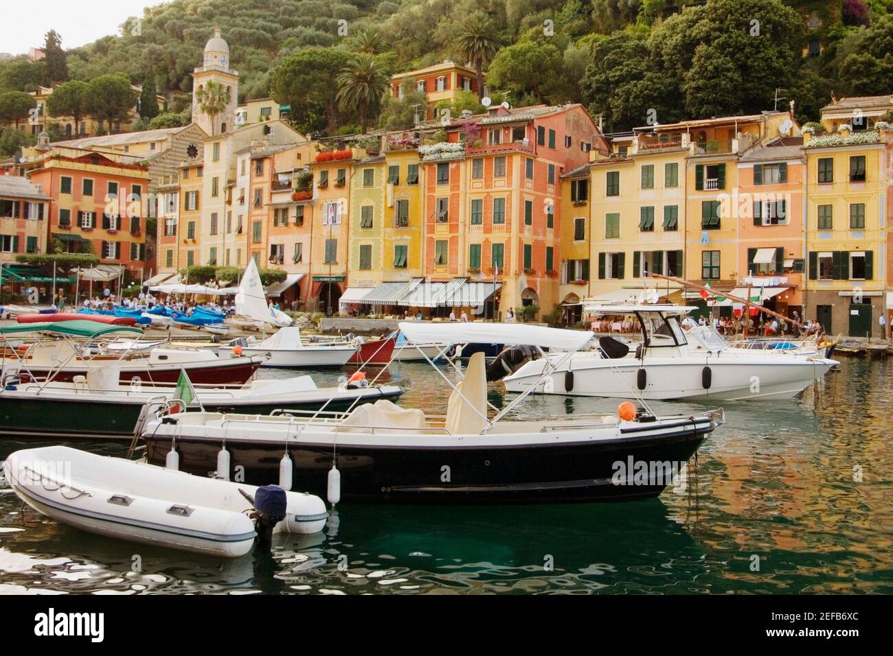 Boats moored at a harbor, Italian Riviera, Portofino, Genoa, Liguria ...
