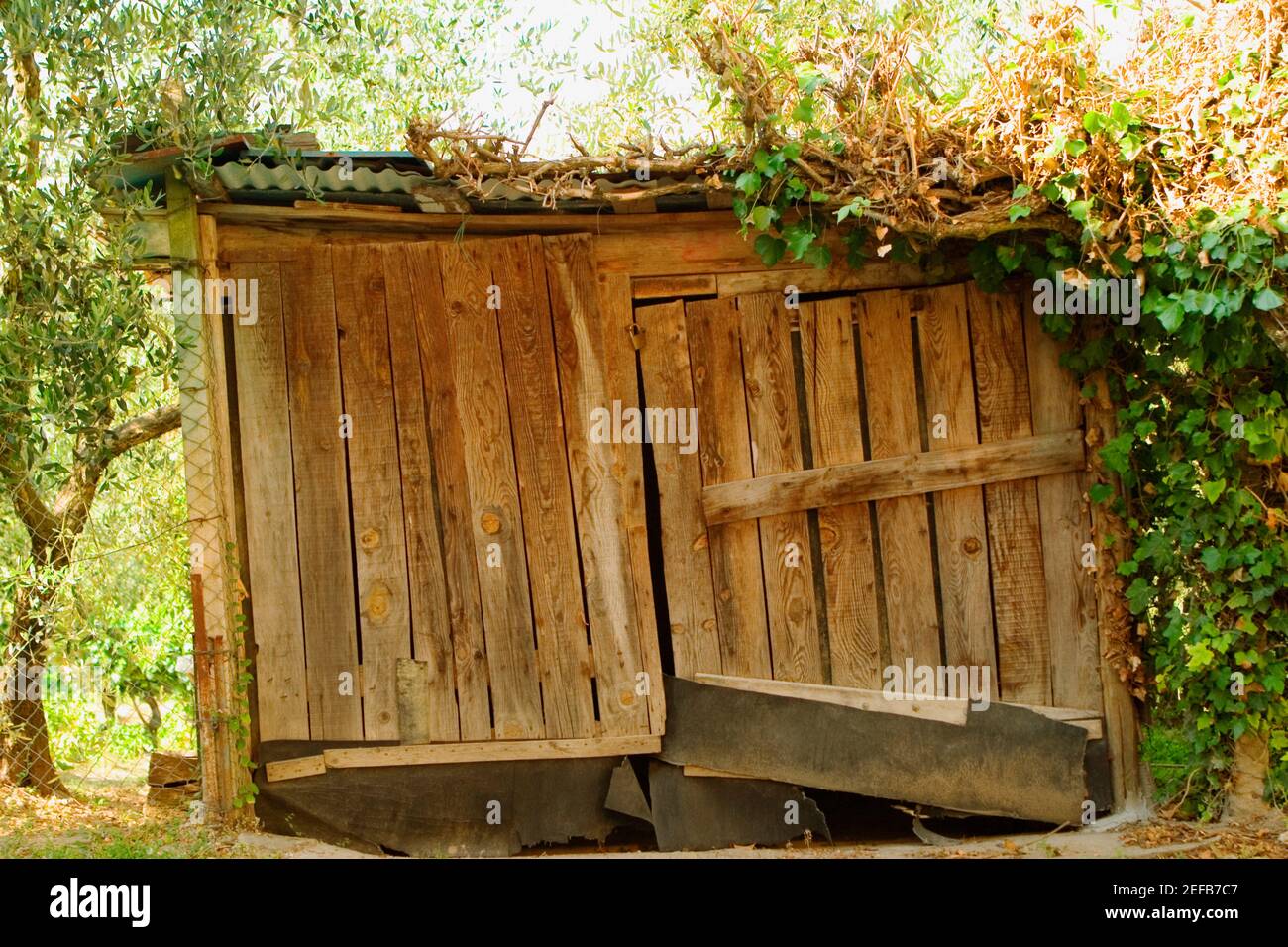 Old log cabin, San Gimignano, Siena Province, Tuscany, Italy Stock ...
