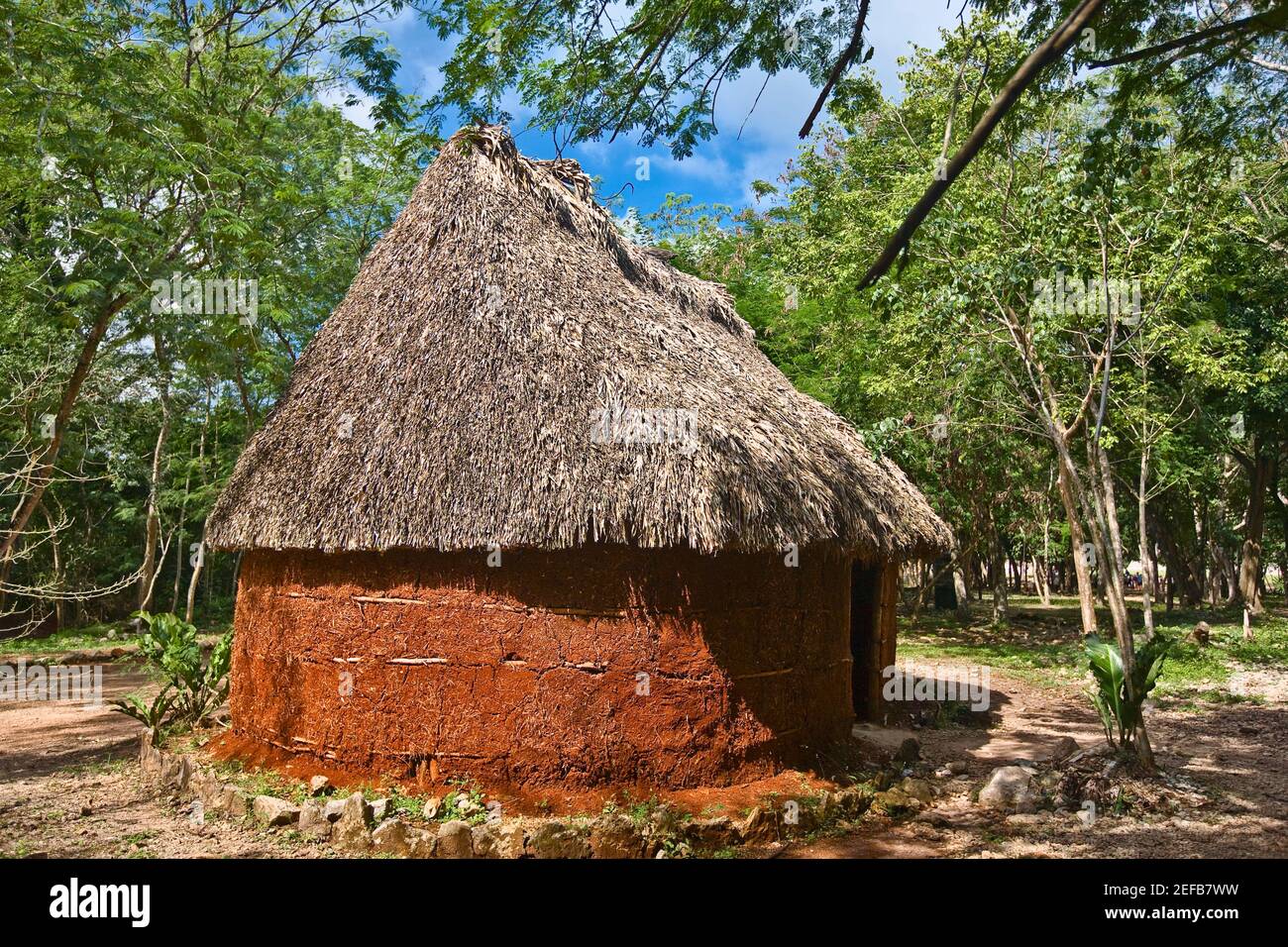 Thatched roof house surrounded by trees, Chichen Itza, Yucatan, Mexico ...