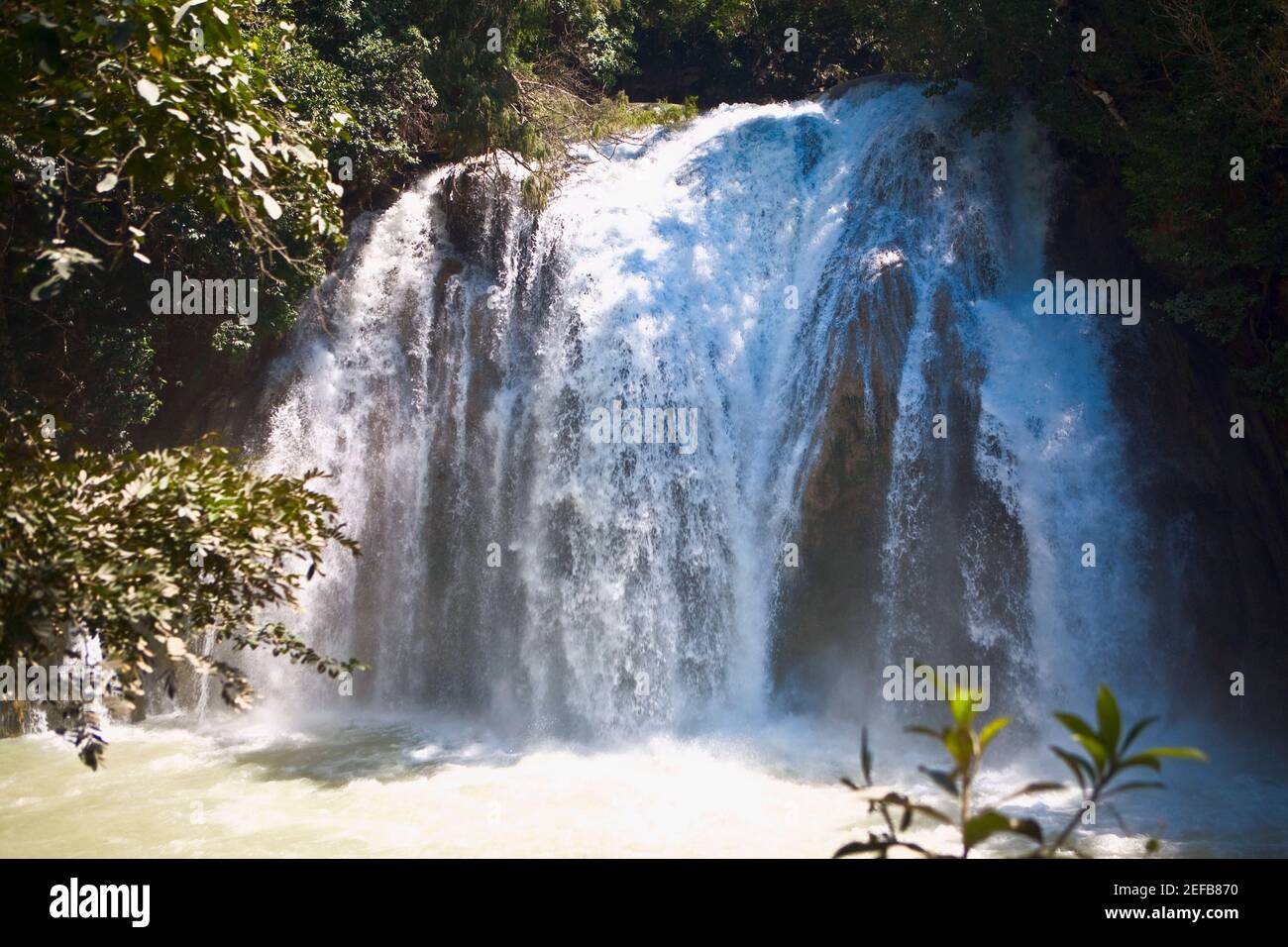 Waterfall in a forest, El Chiflon, Socoltenango, Chiapas, Mexico Stock ...