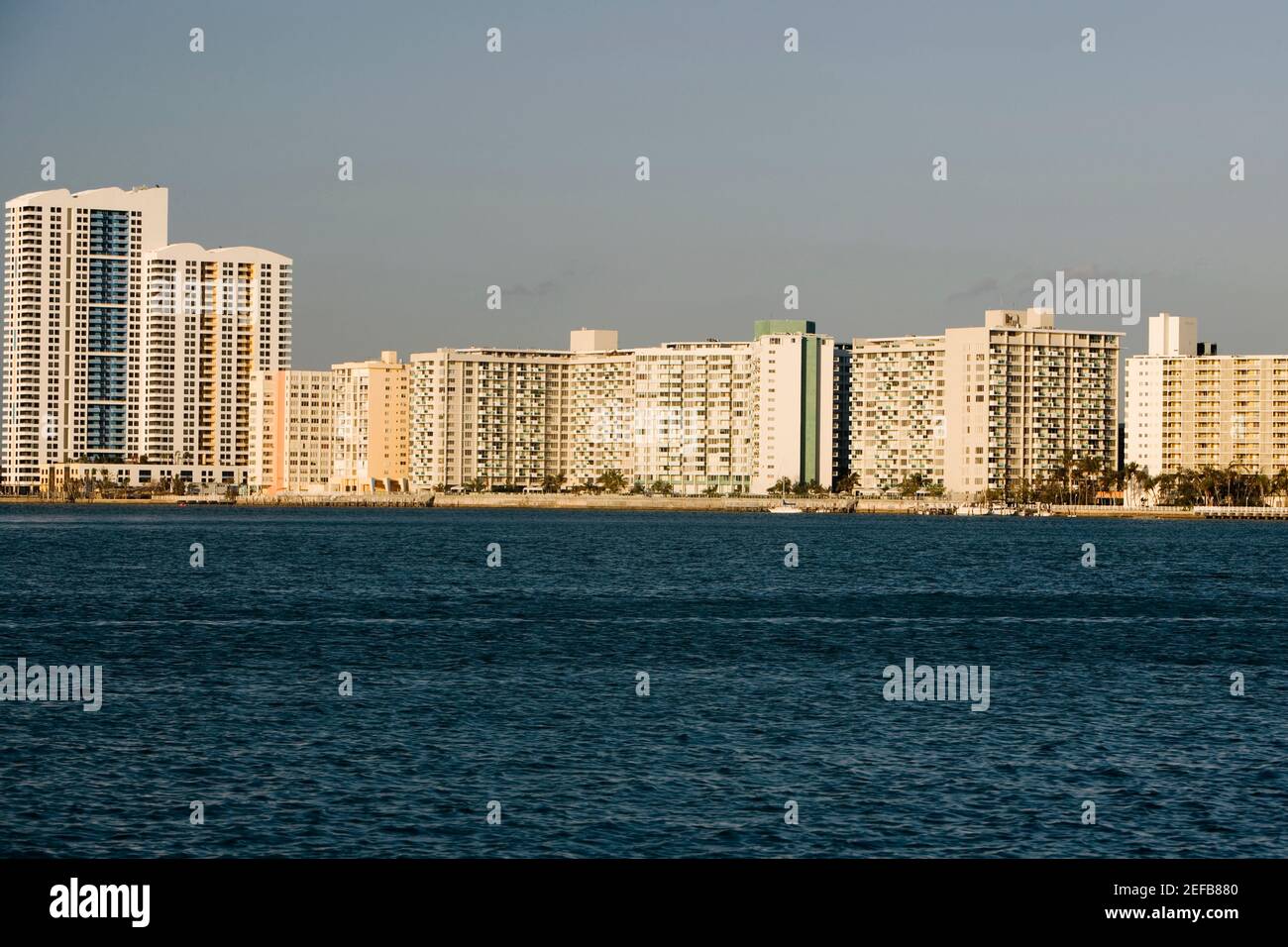 Buildings at the waterfront, Miami, Florida, USA Stock Photo - Alamy
