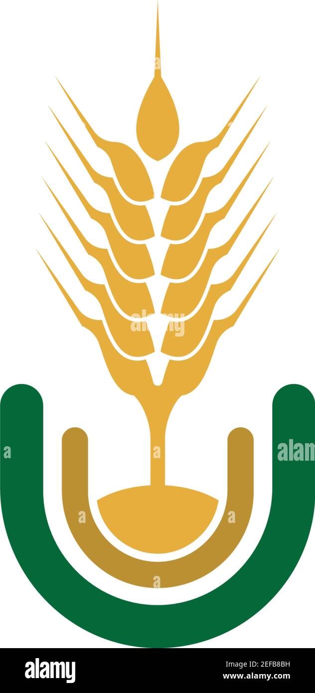 Agriculture wheat logo template vector icon design Stock Vector Image ...