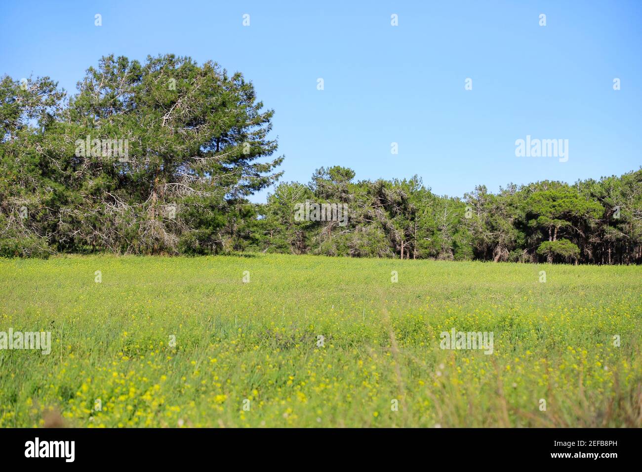 Cyprus panoramic hi-res stock photography and images - Alamy