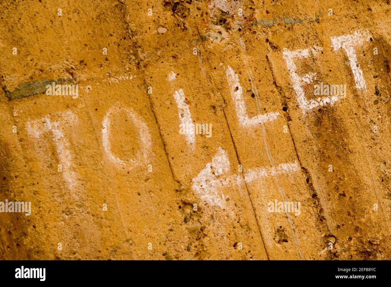 Close up of restroom sign on a wall, Corniglia, Italian Riviera, Cinque ...