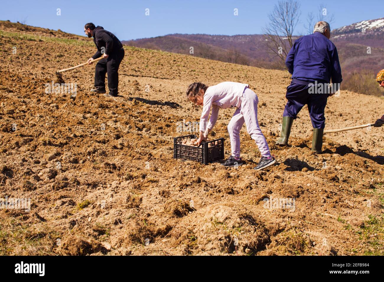 The help of little helpers is priceless Stock Photo - Alamy