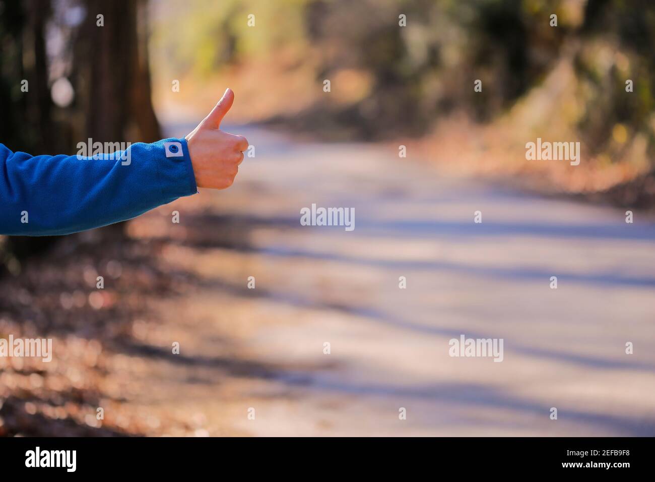 The Hitchhiking woman hand on the beautiful road side Stock Photo - Alamy