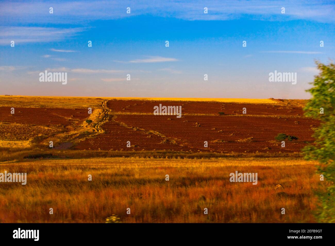 Zacatecas state hi-res stock photography and images - Alamy