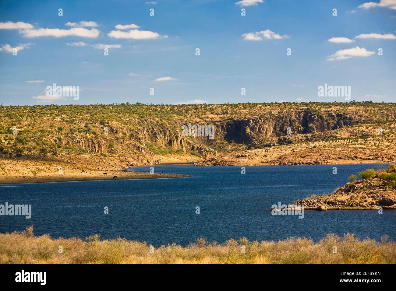 Aguascalientes State High Resolution Stock Photography and Images - Alamy