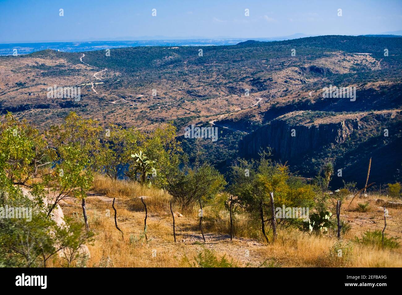 Aguascalientes State High Resolution Stock Photography and Images - Alamy