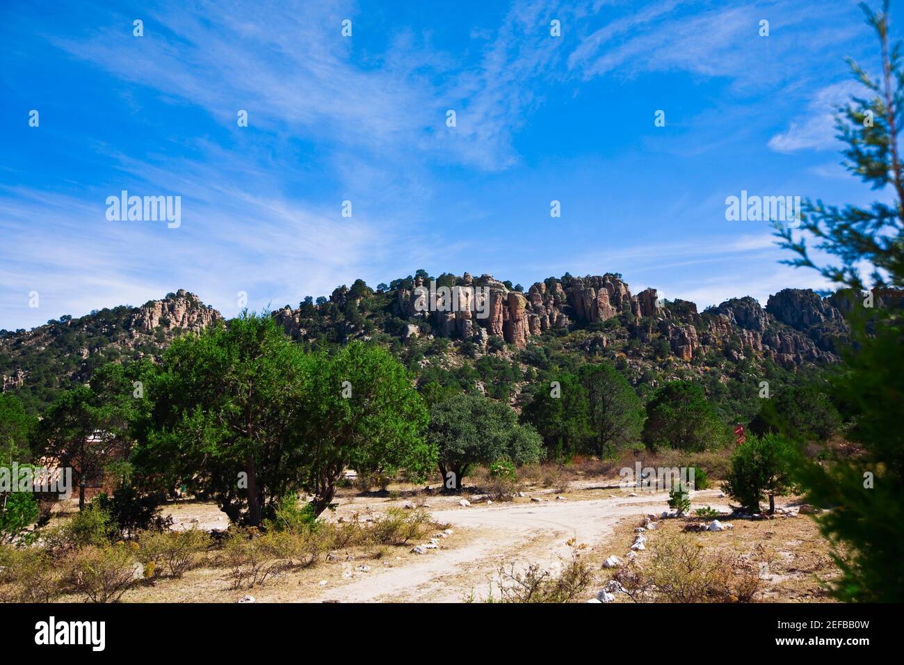 Trees in front of rock formations, Sierra De Organos, Sombrerete ...