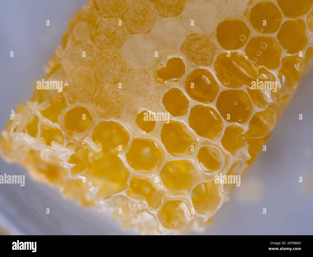 golden honey honeycomb macro photo Stock Photo - Alamy