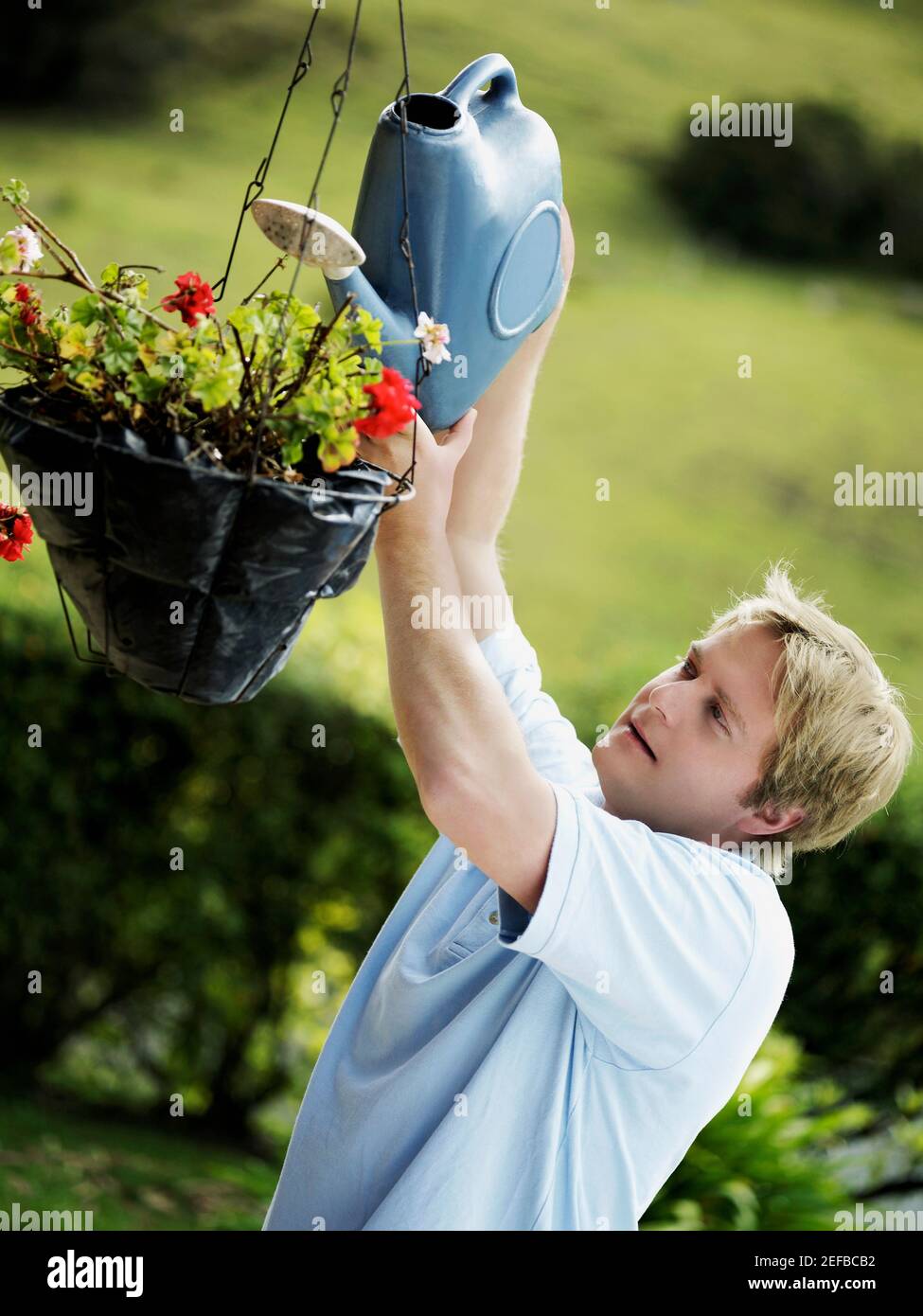 Side profile of a mid adult man watering a potted plant Stock Photo - Alamy