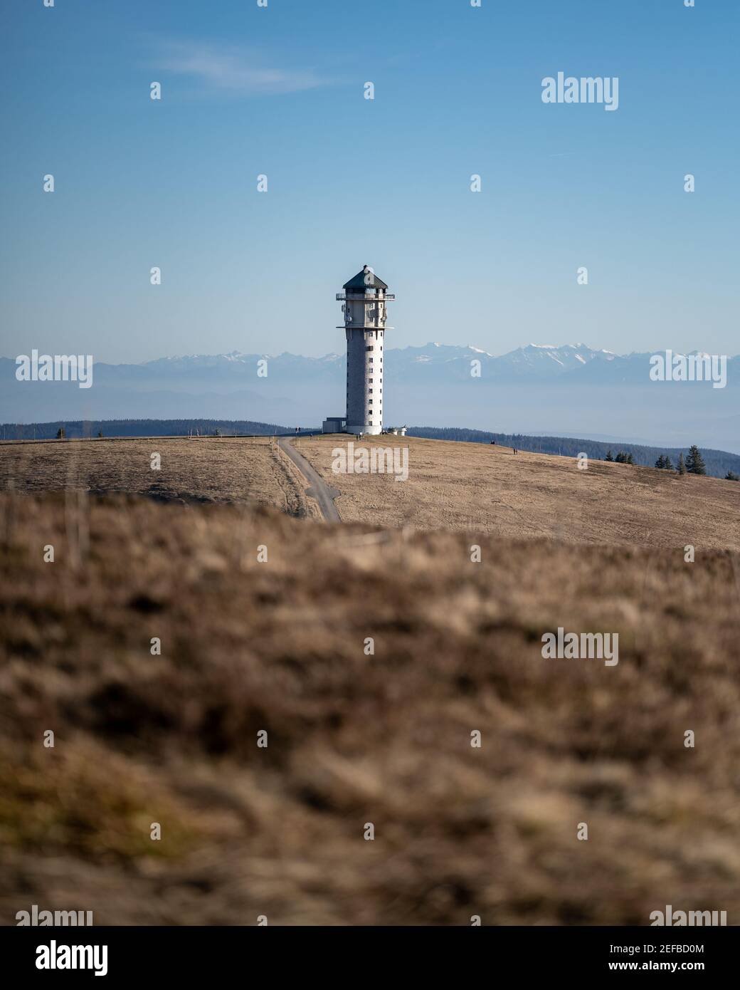 Vertical shot of the Feldberg Tower in Germany Stock Photo - Alamy