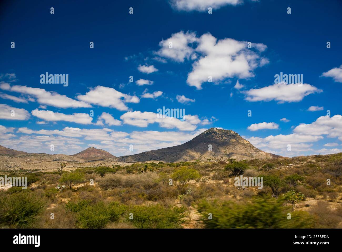 Aguascalientes state hi-res stock photography and images - Alamy