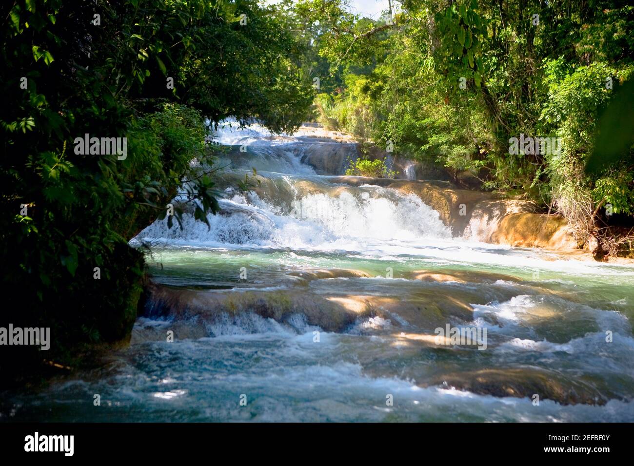 Waterfall in a forest, Agua Azul Waterfalls, Chiapas, Mexico Stock ...