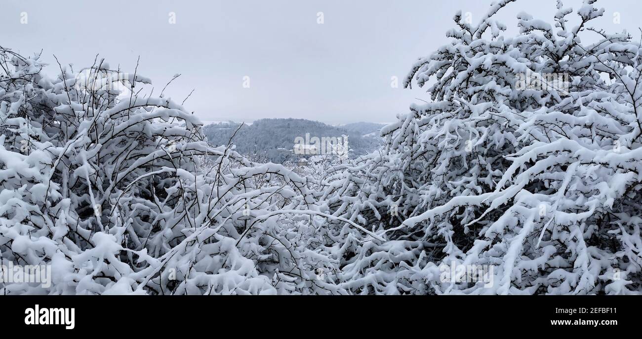 Landscape of hills covered in trees and snow under a cloudy sky on a gloomy day in winter Stock ...