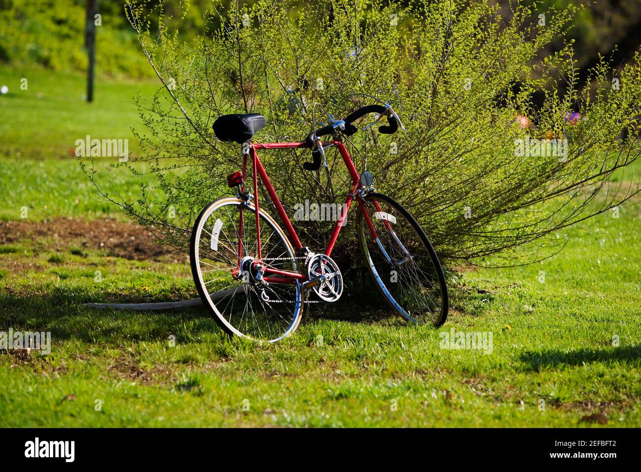 Leaning bicycle bush hi-res stock photography and images - Alamy