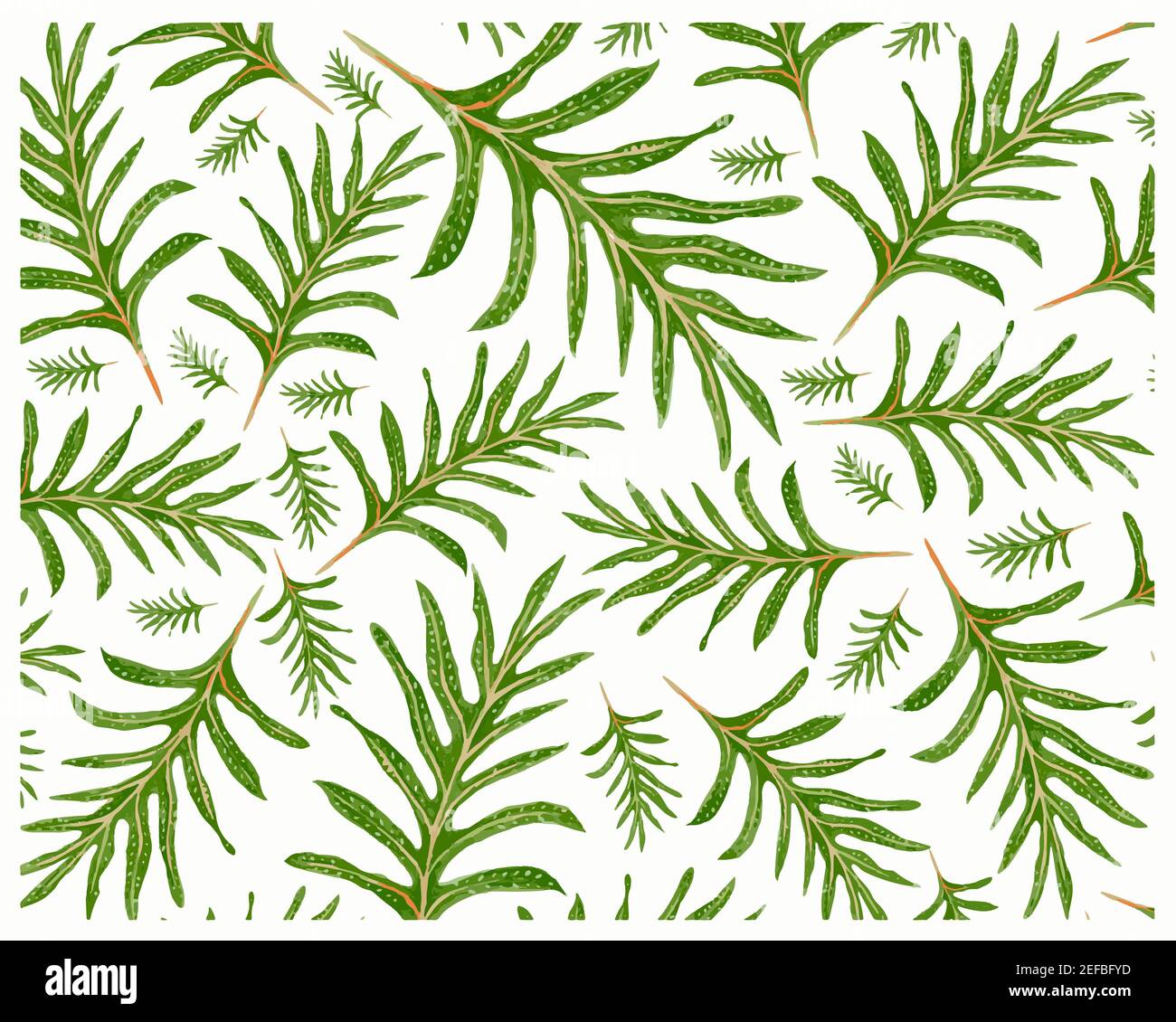 Illustration Background of Microsorum Scolopendria, Phymatosorus ...