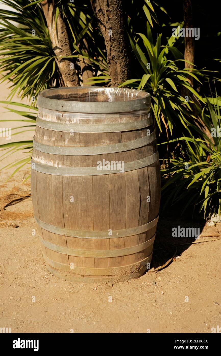 Barrel placed near a tree Stock Photo - Alamy