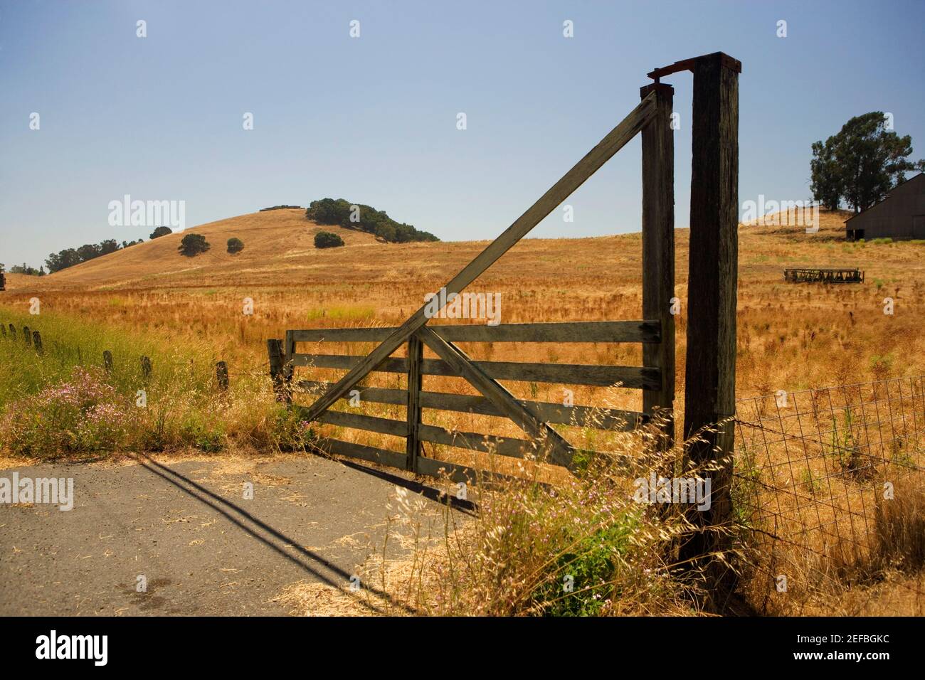 Fence in a field Stock Photo - Alamy