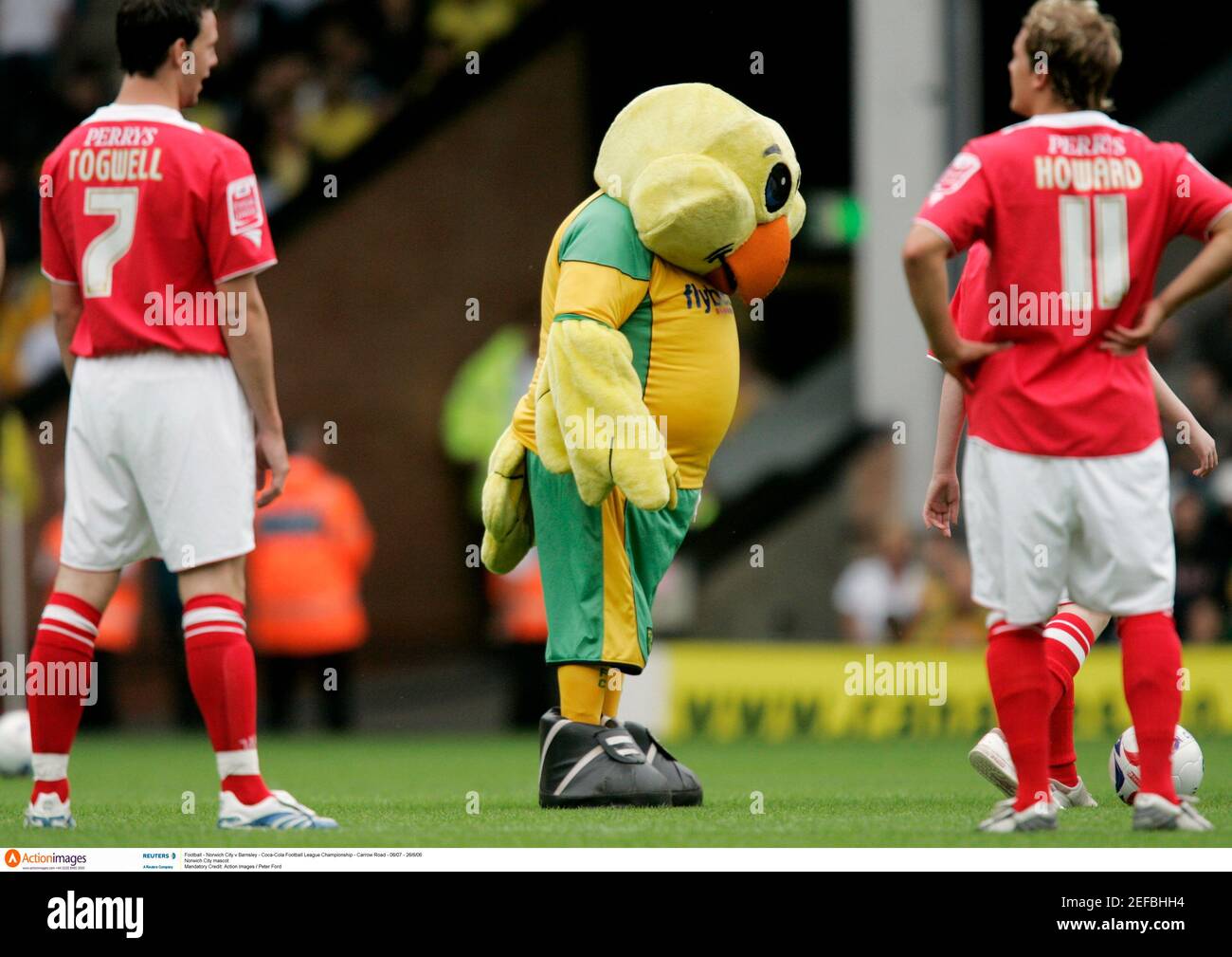 Norwich city mascot hi-res stock photography and images - Alamy