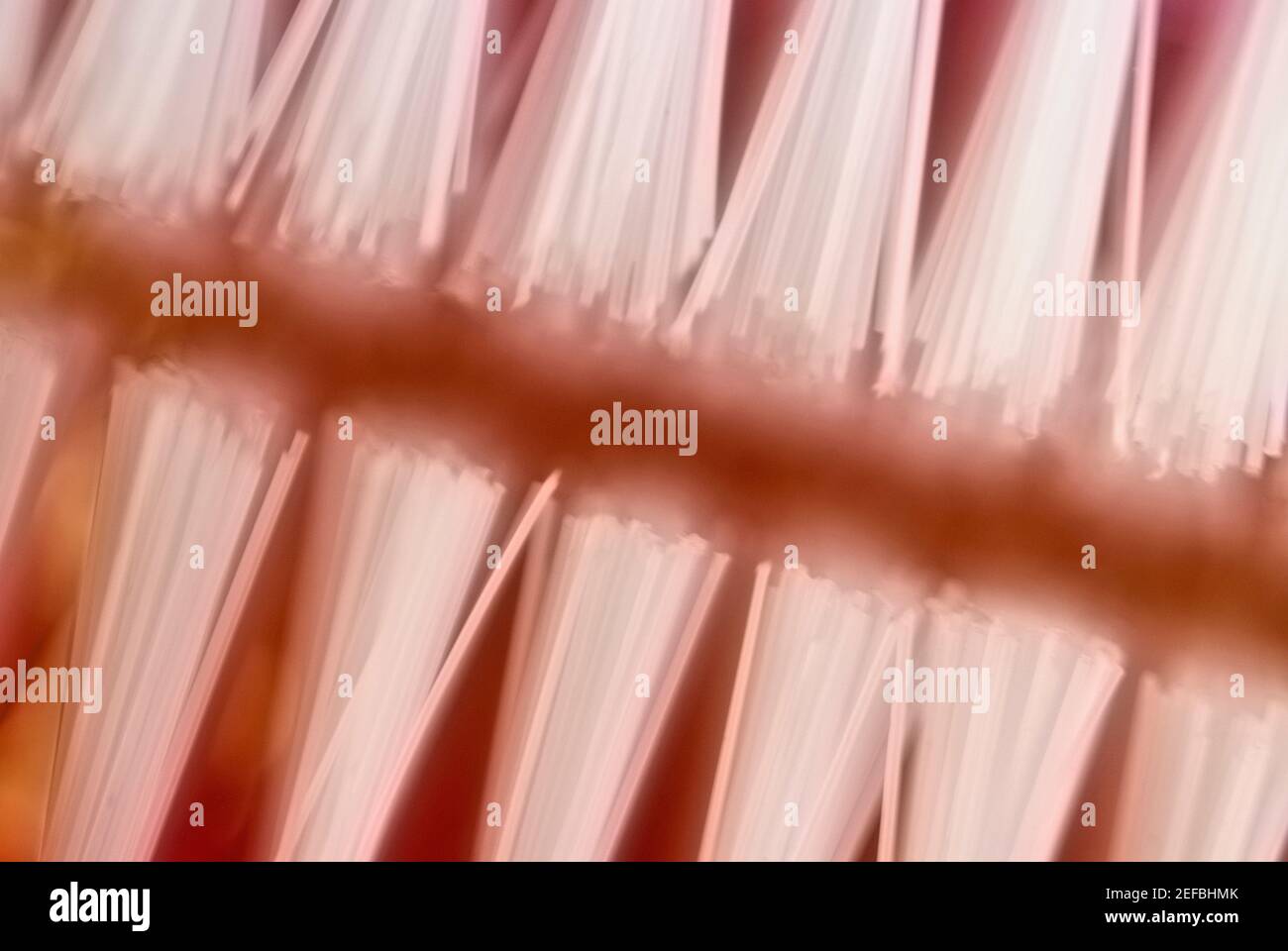 Close up of two toothbrushes Stock Photo - Alamy