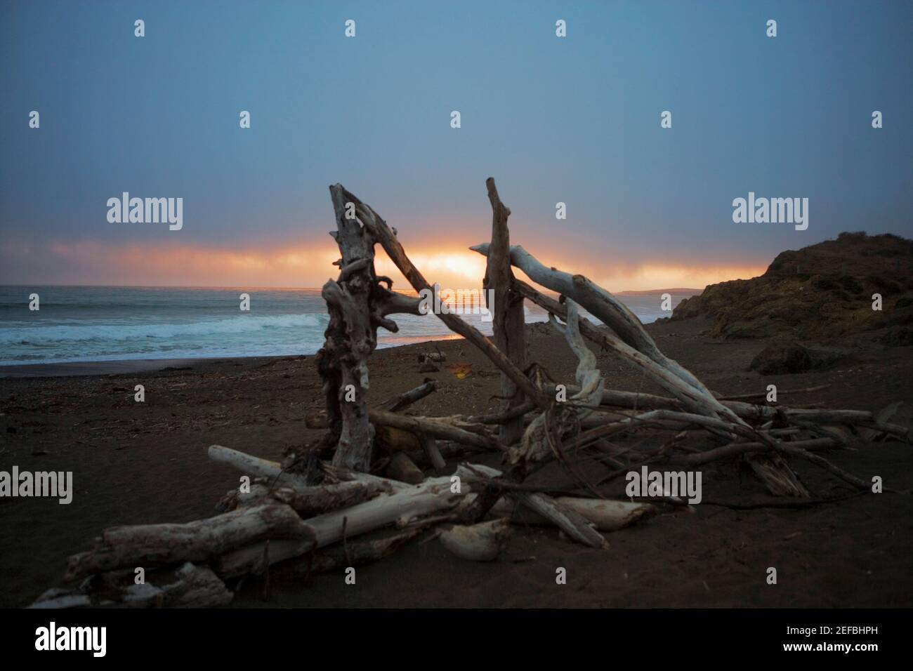 Close-up of driftwood on the beach Stock Photo - Alamy