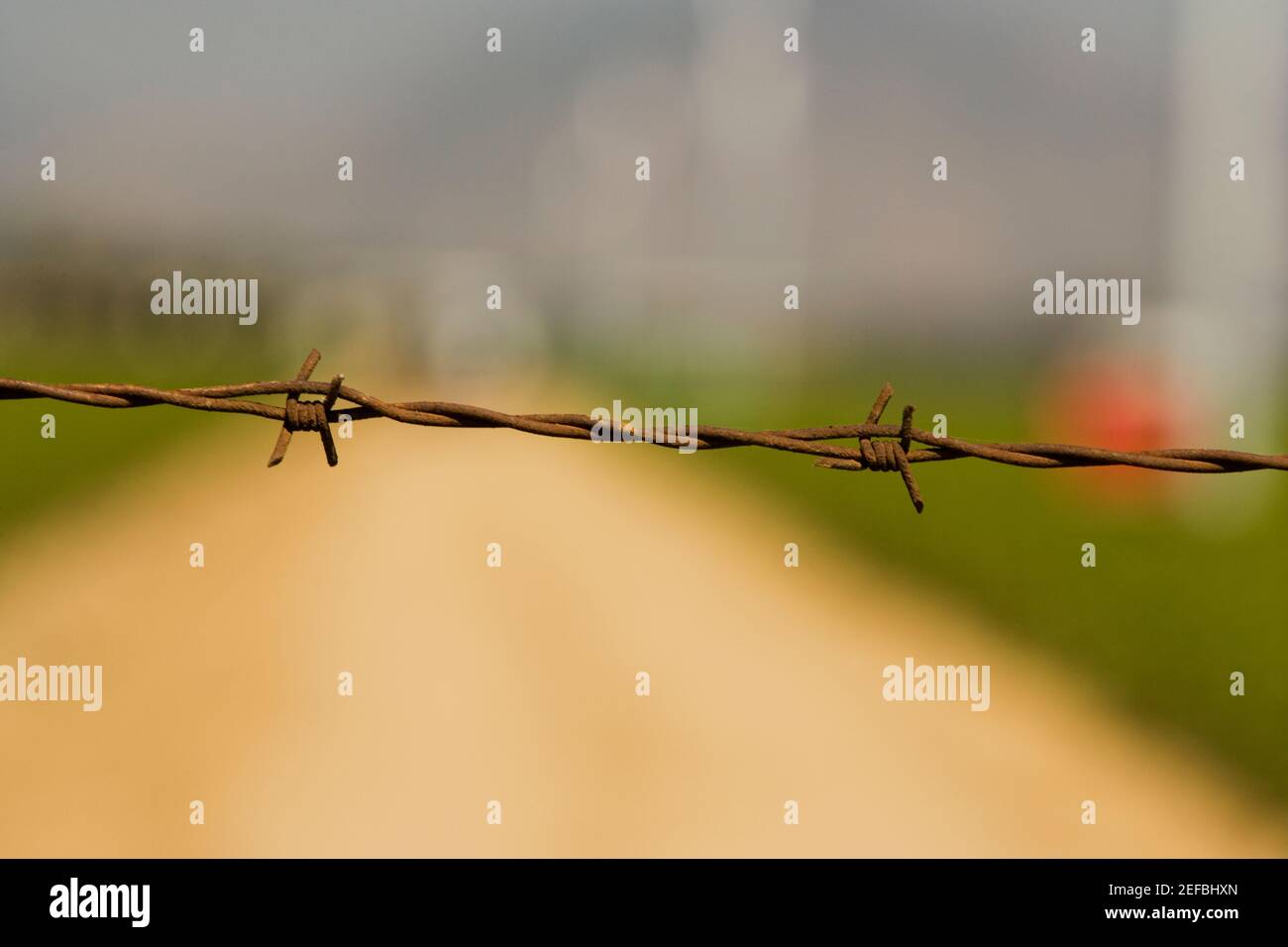 Close-up of a barbed wire fence on a farm Stock Photo - Alamy